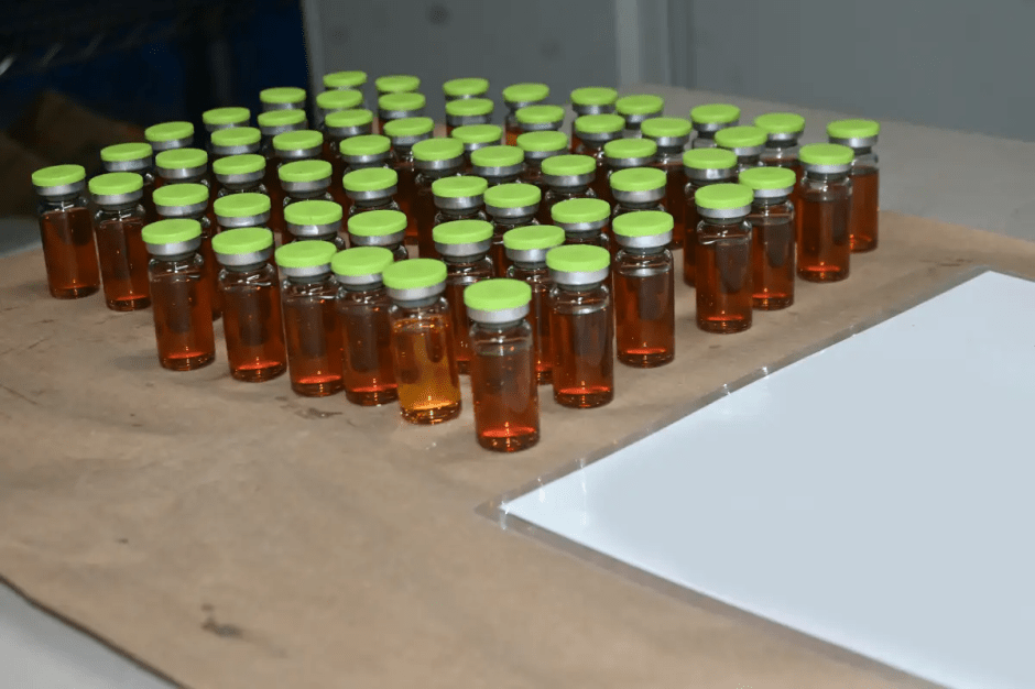 Organized crime motorcycle gang ‘One Order MC’ busted while trying to ...